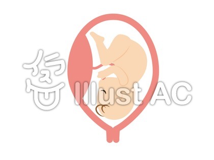 胎児イラスト - No: 1126573／無料イラストなら「イラストAC」