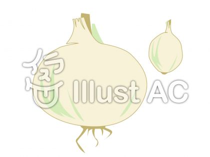 新たまねぎイラスト／無料イラストなら「イラストAC」