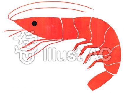 海老イラスト - No: 1416031／無料イラストなら「イラストAC」